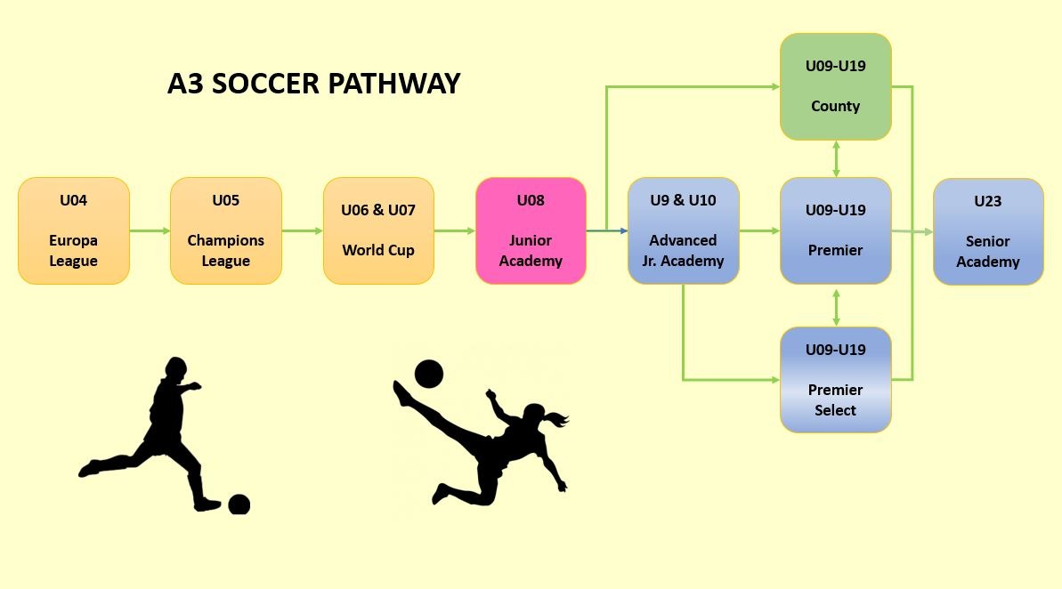 Player Pathway