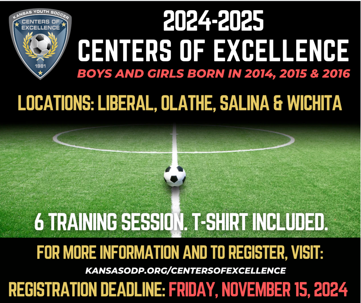 centers of excellence