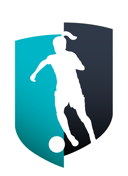 Competitive/Developmental Platforms