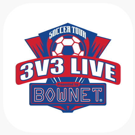 3v3 Bownet Logo
